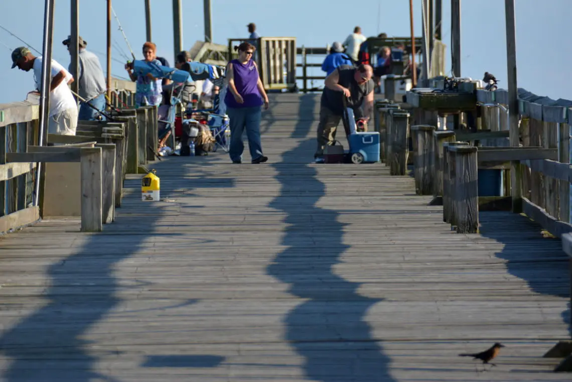 Cape Fear Area Photo Tours and Travel Information